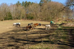 Eisborn: Steinbruch, Blaue Lagune und viel Aussicht - Richards Fotoseite